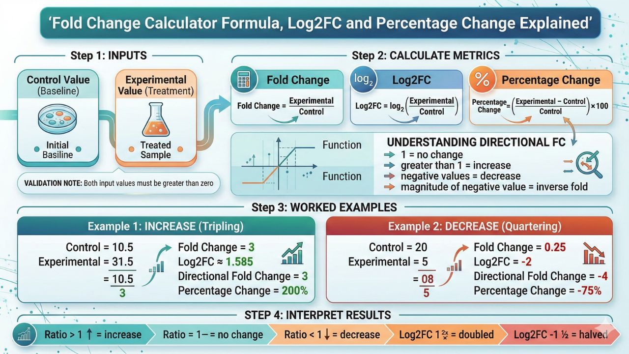Fold Change Calculator with Log2FC, Ratio and Percent Change
